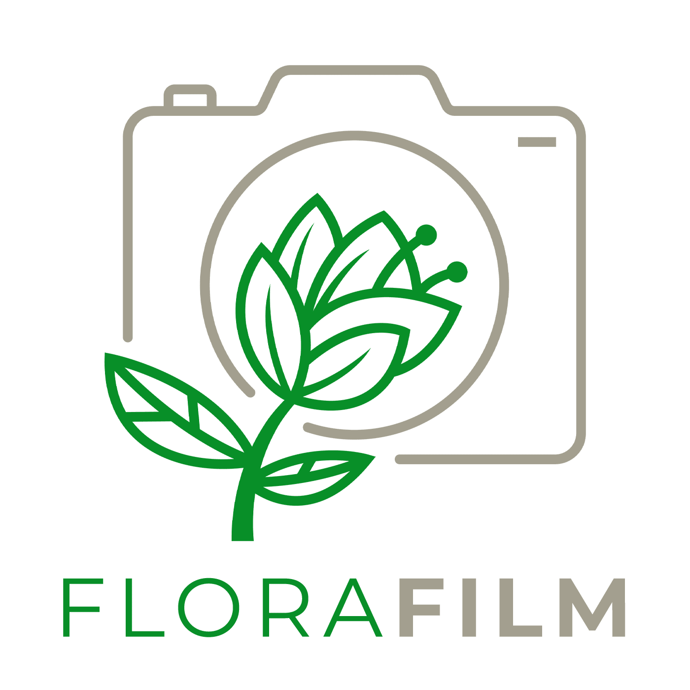 Medienproduktionen und digitales Marketing für die grüne Branche